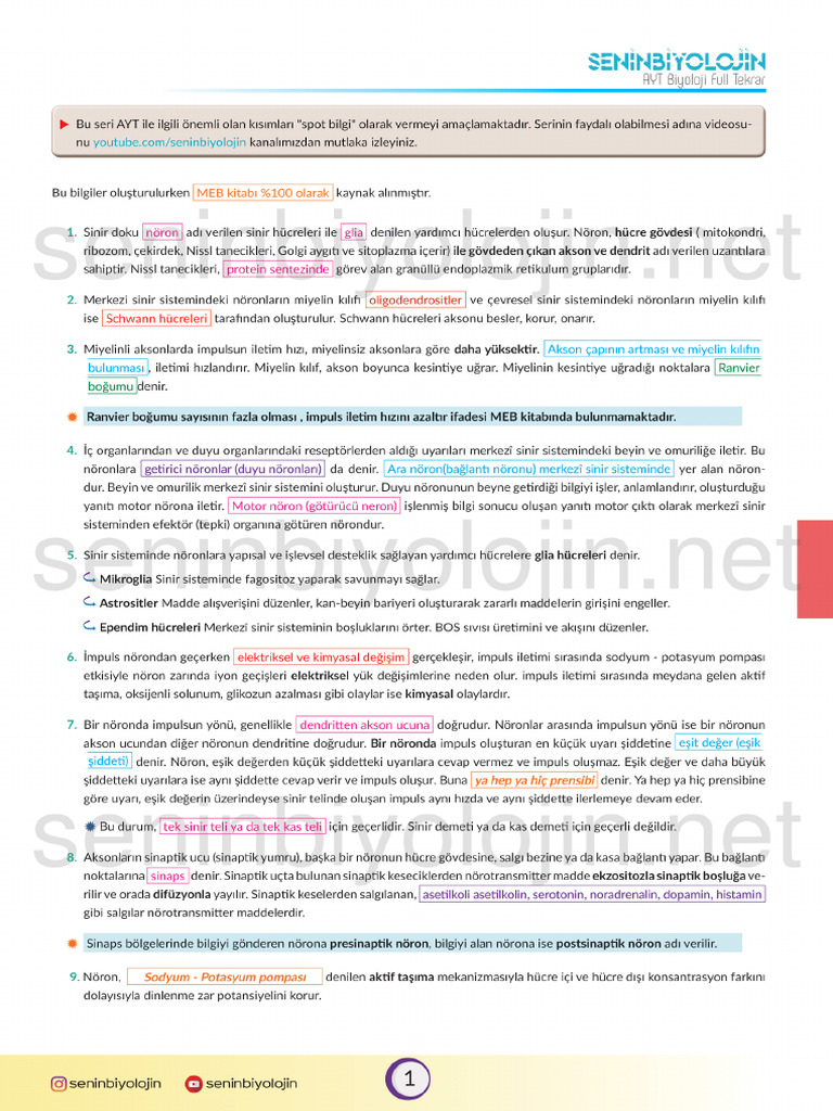 218 Maddede Ayt Biyoloji Full Tekrar | PDF