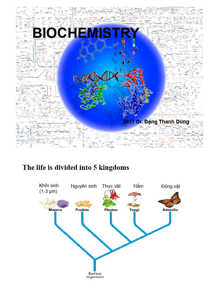 Bai 1 - Biochemitry Foundation (Version 1) (Compatibility Mode) | PDF ...