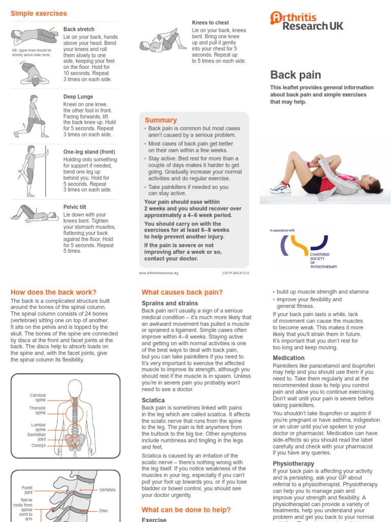 Back Pain Exercise Pamphlet | PDF | Vertebral Column | Back Pain