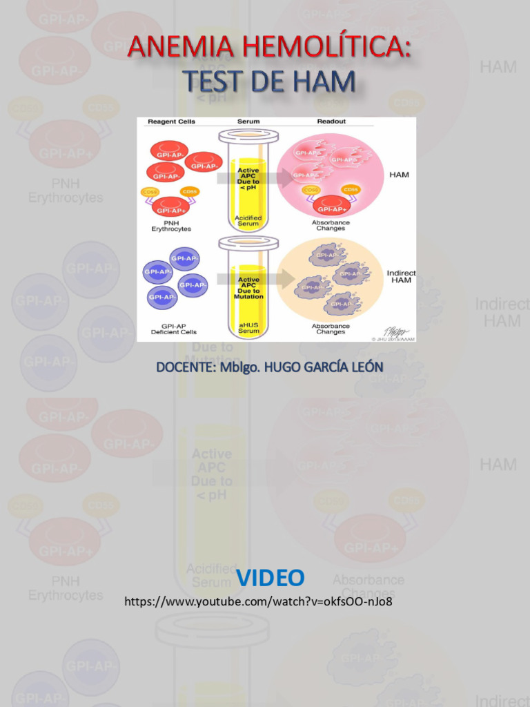 Hematologia Clase 16 Test de Ham_797003092 | PDF | Sangre | Glóbulo rojo