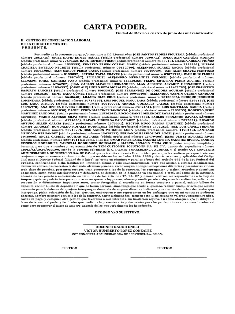 Carta Poder TKM 2 | PDF | Derecho