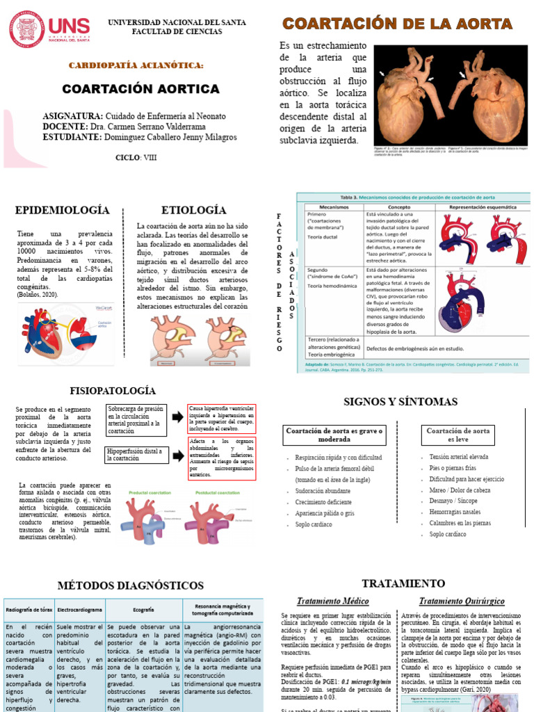 N-Up-Pdf - 2 Coartación Aortica Carmen | PDF | Aorta | Corazón