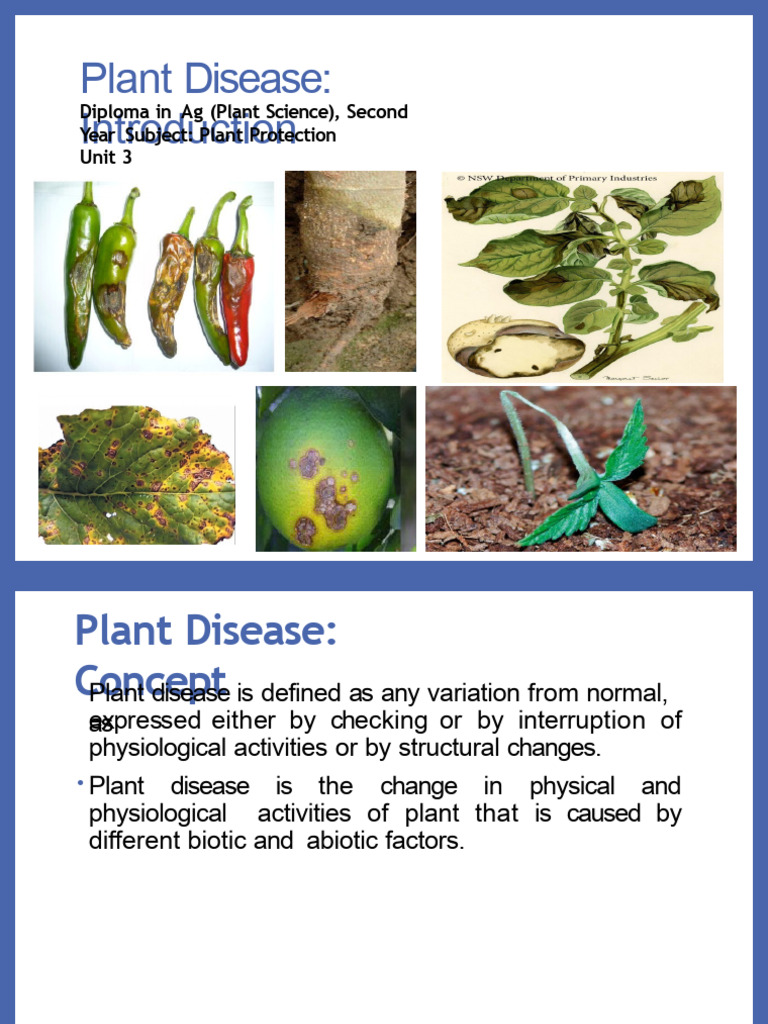 Unit 3 Plant Diseases | PDF | Pathogen | Fungus
