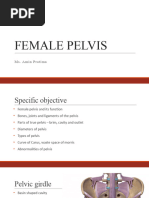 Female Pelvis Diameters Explained | PDF
