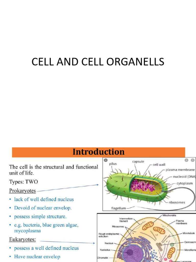 Cell and Cell Organells | PDF