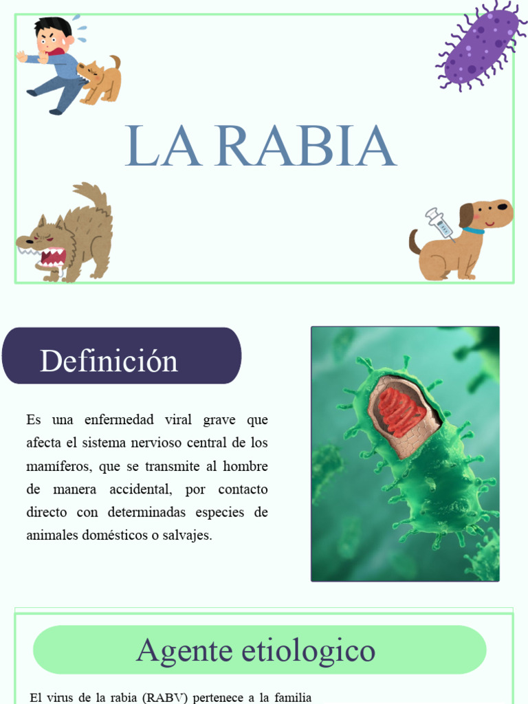 Rabia: Transmisión y Prevención | PDF | Rabia | Virus