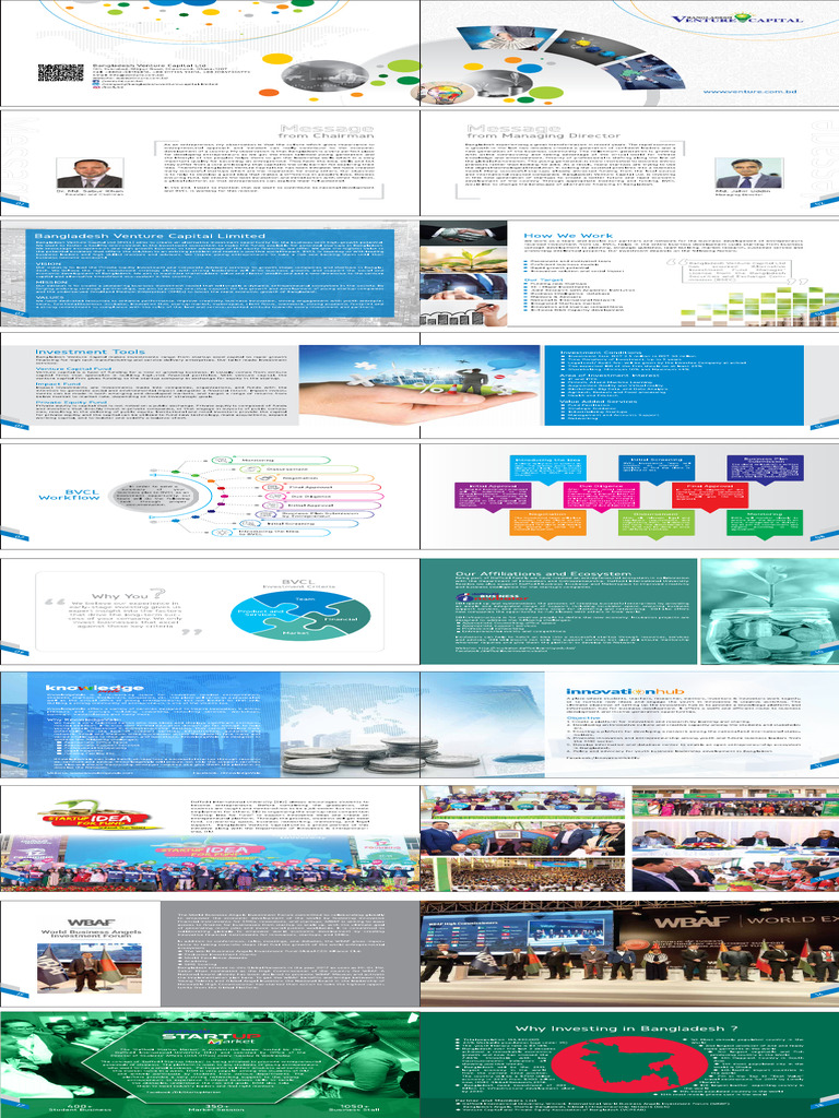 BVCL Brochure PDF | PDF