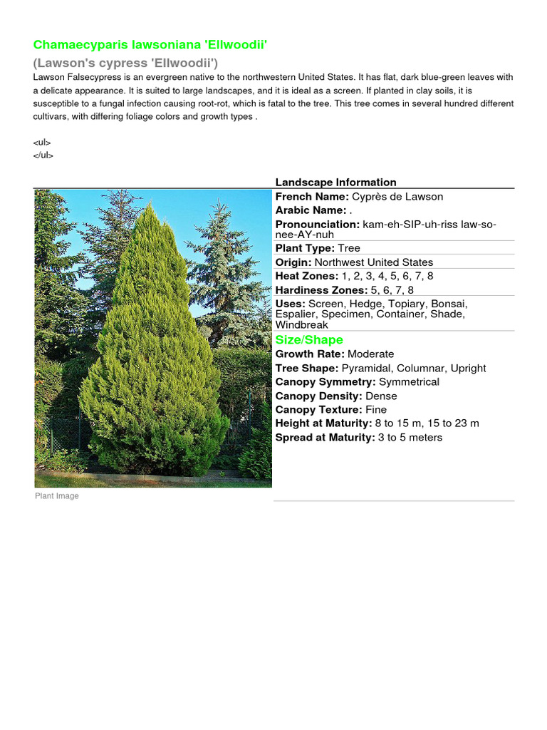 Plant | PDF | Leaf | Horticulture