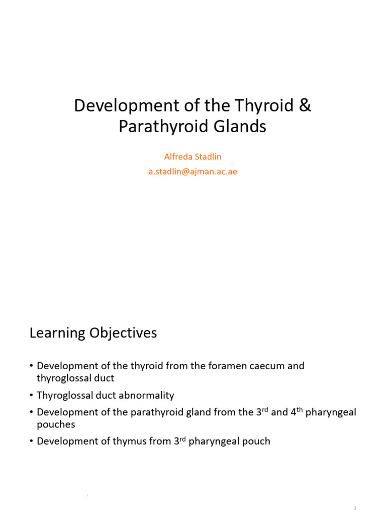 Development of Thyroid and Parathyroid Glands - Annotated | PDF ...