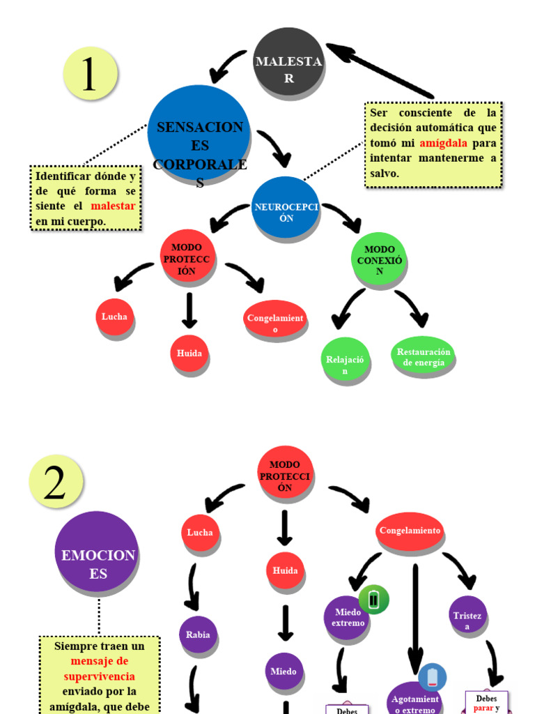 Diagrama Gestión Emocional | PDF | Las emociones | Temor