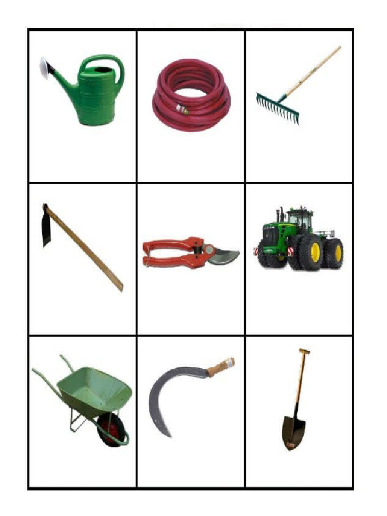 Bingo de Plantas | PDF