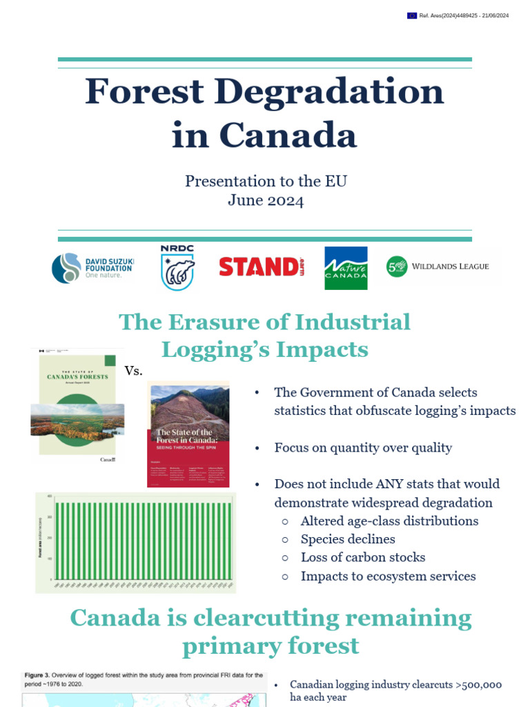 3.d. Canadian NGOs Presentation | PDF | Forests | Logging