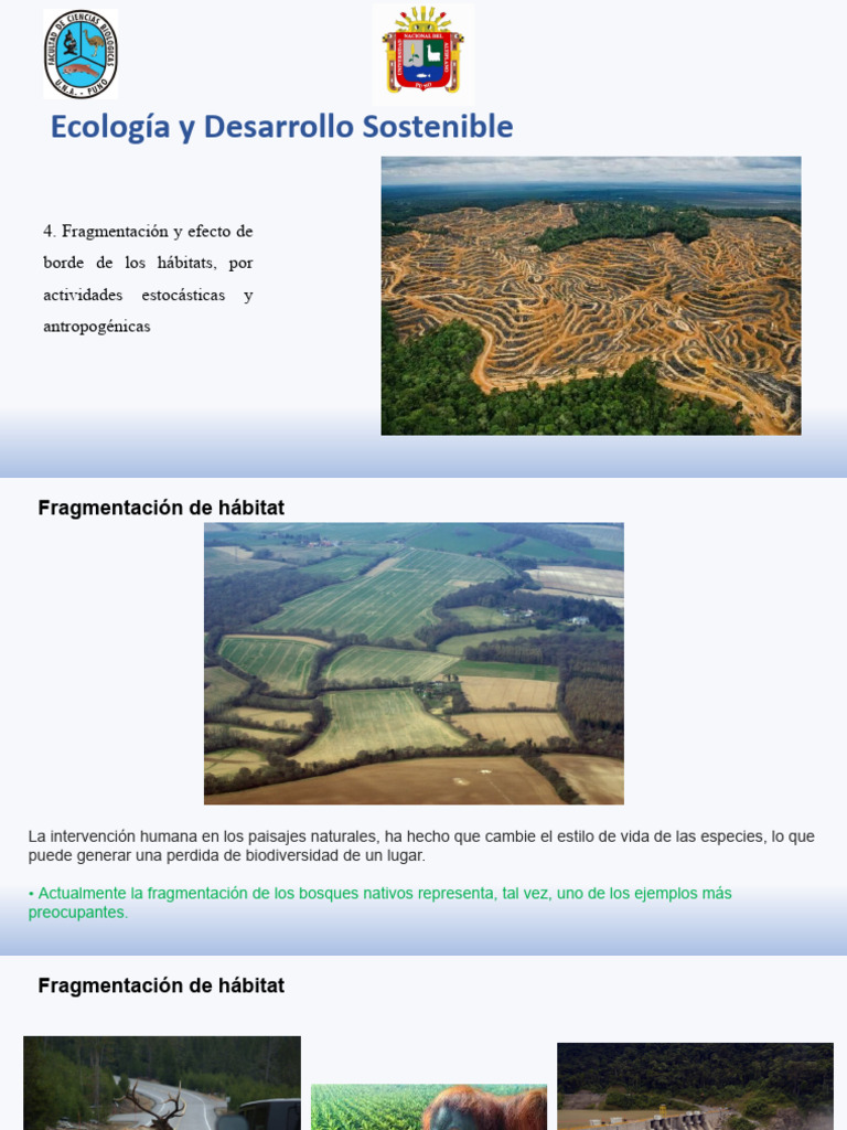 Fragmentación y Efecto de Borde | PDF | Destrucción del habitát | Habitat