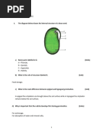 Eng Kpsea Past Papers (2022 & 2023) | PDF | Business