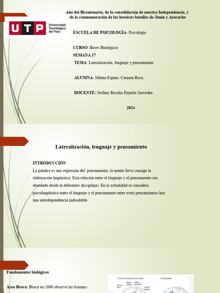 Lateralización, Lenguaje y Pensamiento. | PDF | Hemisferio cerebral ...