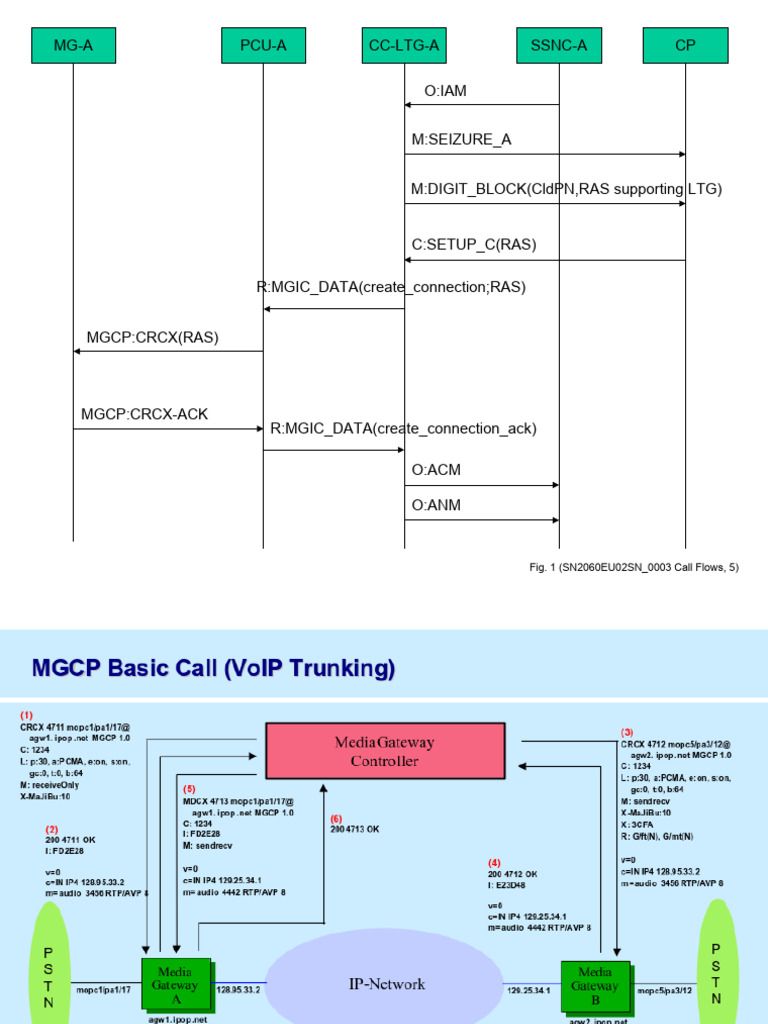 Sn2060eu02sn 0003 Call Flows | PDF | Transmission Control Protocol ...