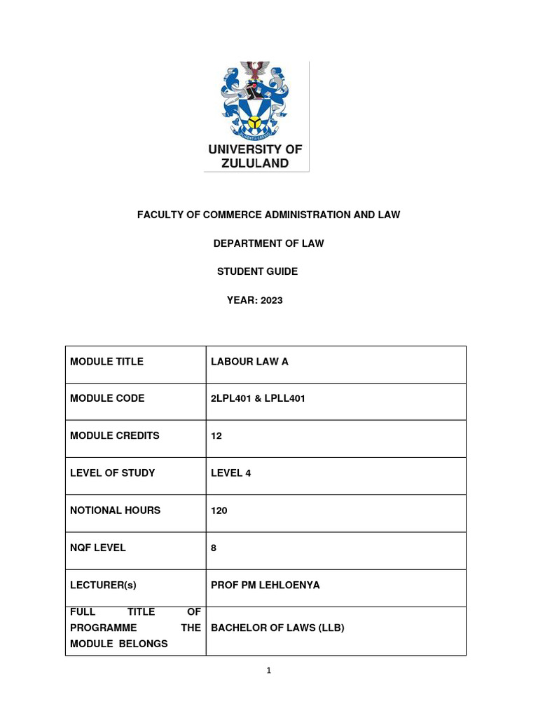 Labour Law A Student Guide 2023 | PDF | Plagiarism | Employment