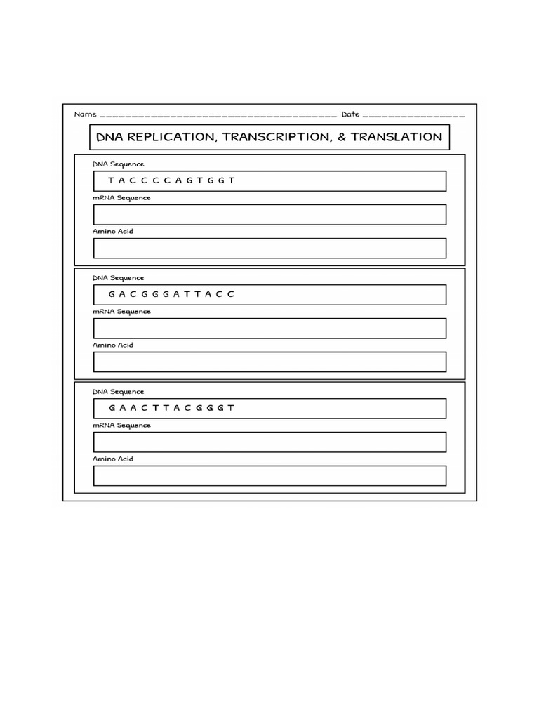 Dna Replication Transcription Translation Worksheet - 203841.png 1 | PDF