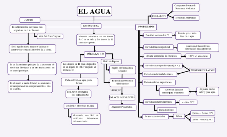 Mapa Conceptual Del Agua | PDF | Propiedades del agua | Moléculas