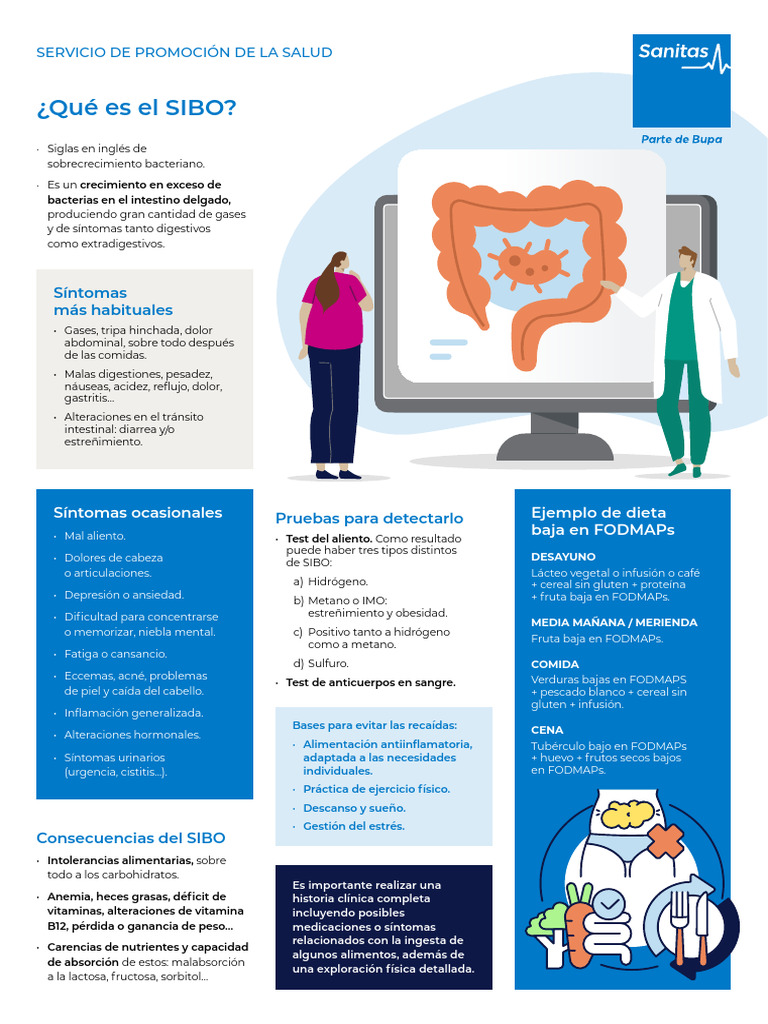 Sibo | PDF | Cereales