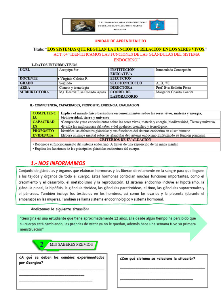 2DO-CYT-UDA3-SESION 04 - Glandulas Esndocrinas. | PDF | Hormona | Sistema endocrino
