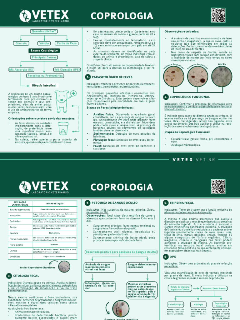 Coprologia Guia Digital | PDF