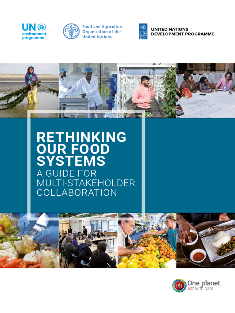 UNE FAO UNDP 2023 - Rethinking Our Food Systems | PDF | Governance ...