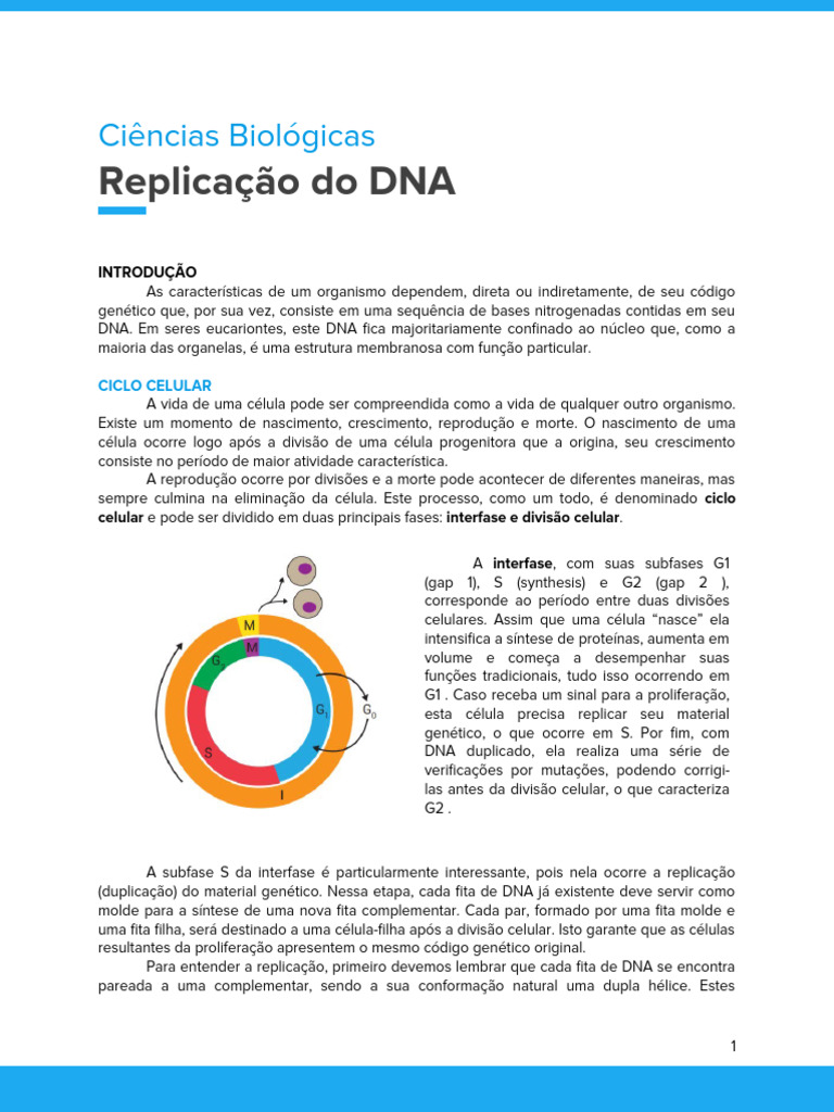 Replicação do DNA e Ciclo Celular | PDF | Meiose | RNA