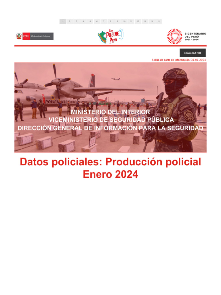 Reporte PP | PDF | Cumplimiento de la ley | Crimen y violencia