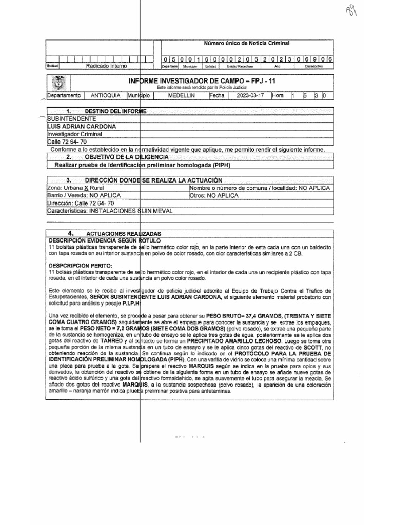 7.PIHP MARTHA BEDOYA | PDF