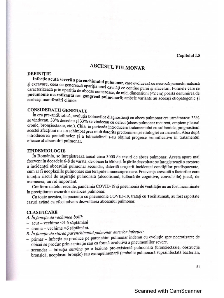 Abces Pulmonar | PDF