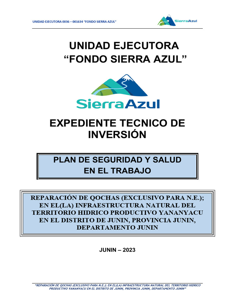 Informe de Seguridad y Salud en Obra | PDF | Valores | Seguridad y salud ocupacional