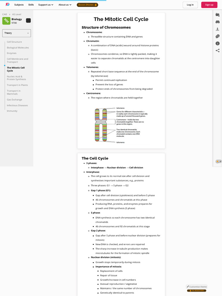 Znotes Org | PDF | Mitosis | Cell (Biology)