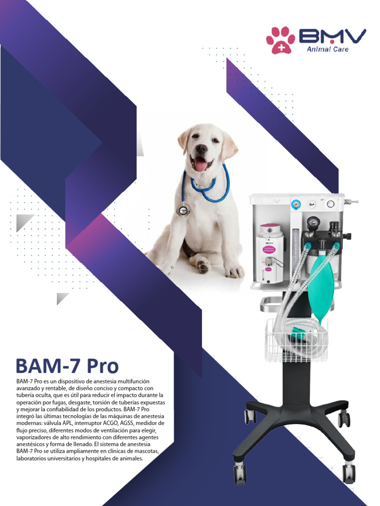 Máquina de Anestesia BAM-7 Pro | PDF | Cambiar | Respiración