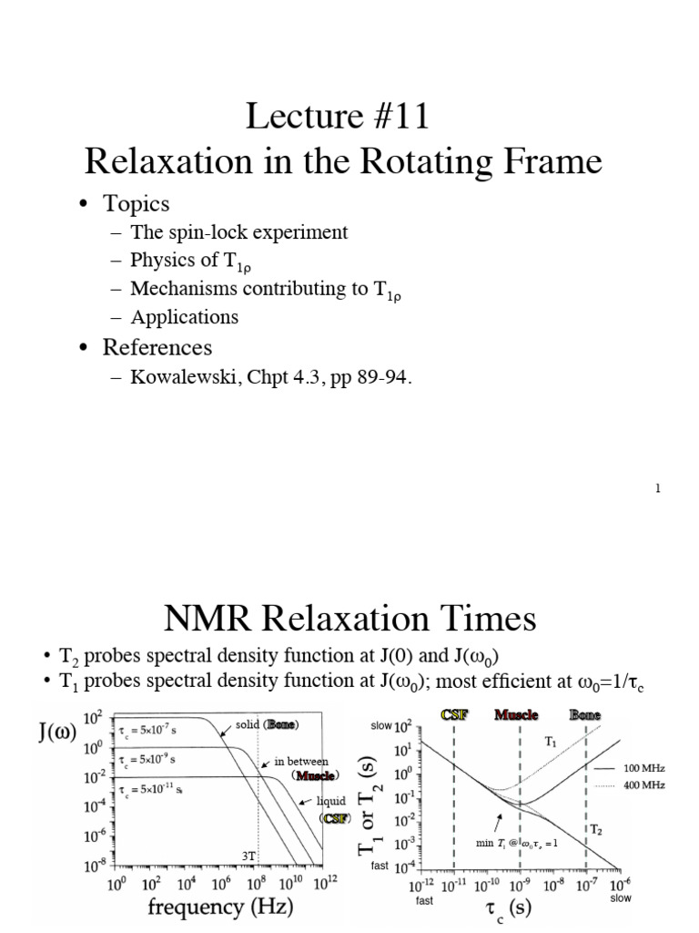 Lecture11 2016 T1rho | PDF