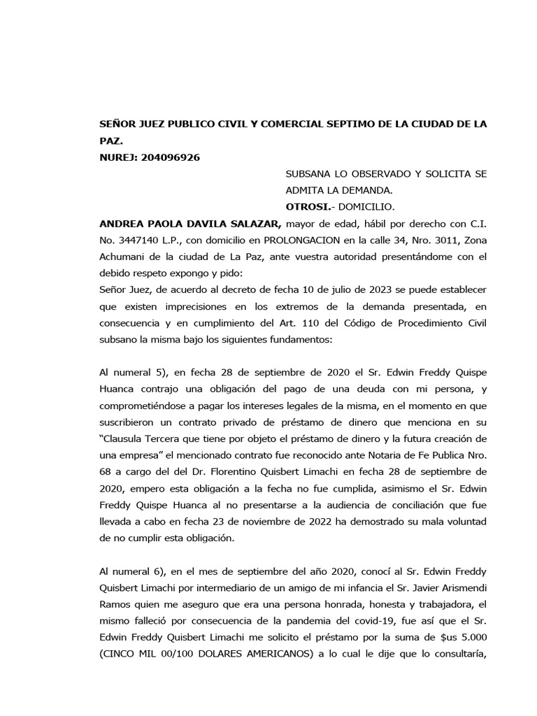 Subsana Lo Observado | PDF