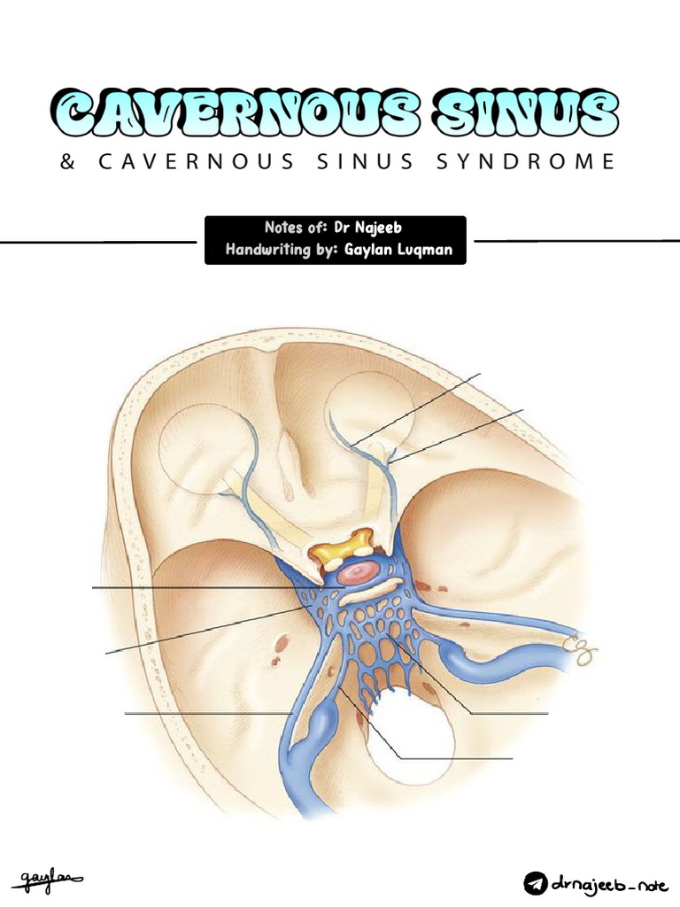 Anatomy of Cavernous Sinus | PDF | Otorhinolaryngology | Anatomy