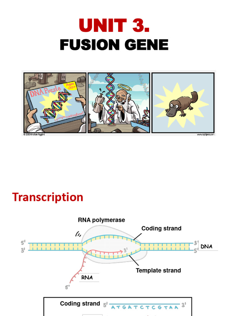 3. Fusion Gene | Download Free PDF | Messenger Rna | Gene