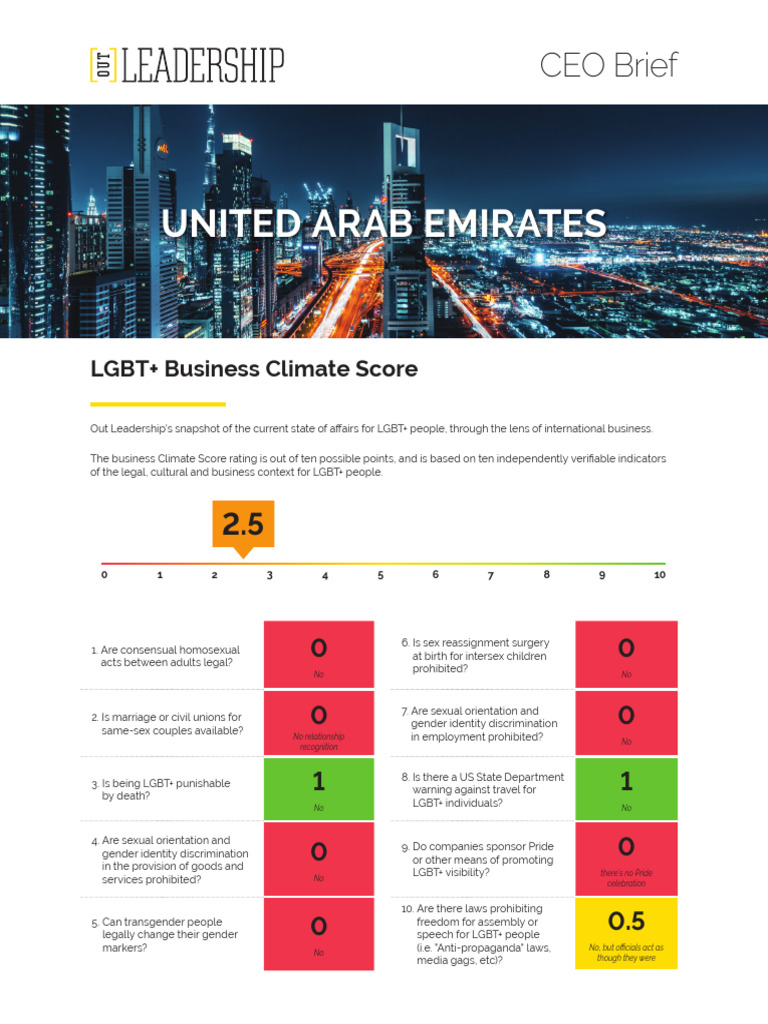 OL CEO Brief - United Arab Emirates | PDF | Homosexuality | Sexuality