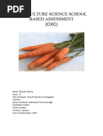 Seed Germination Report Sample (Easy) | PDF | Seedling | Seed