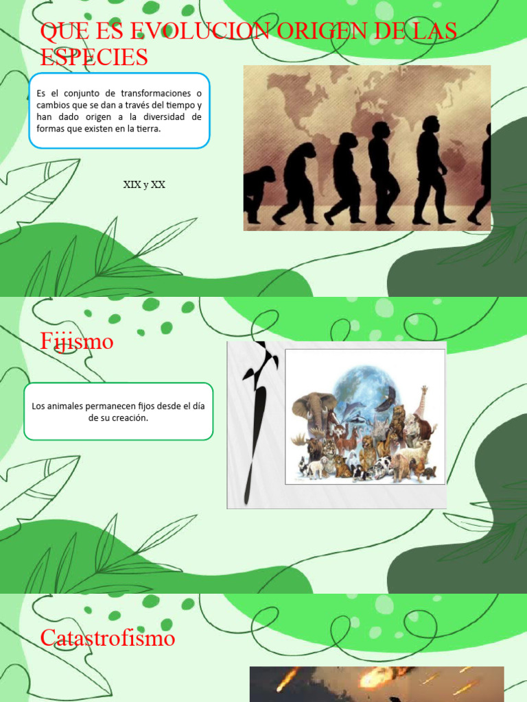 Evolucion de Las Especies | PDF | Evolución | Seleccion natural
