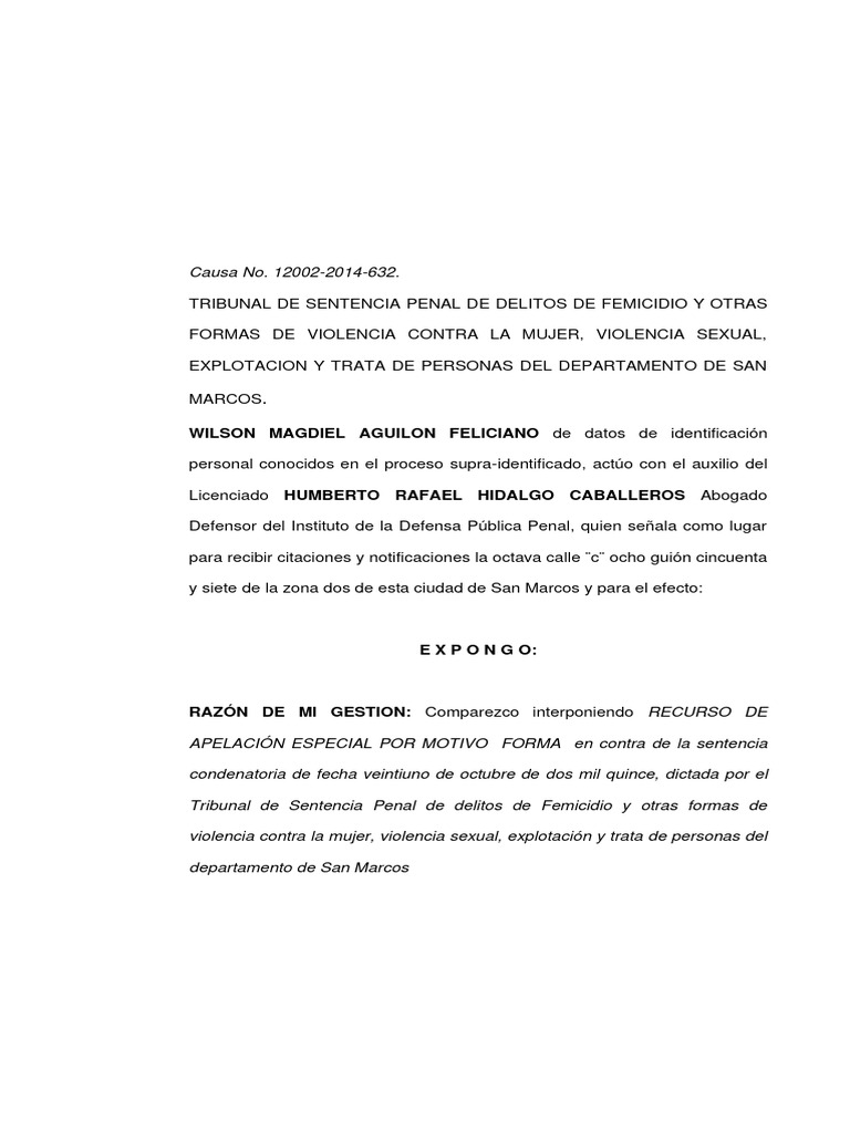 Recurso de Apelación Por Motivo de Forma | PDF | Sentencia (ley ...