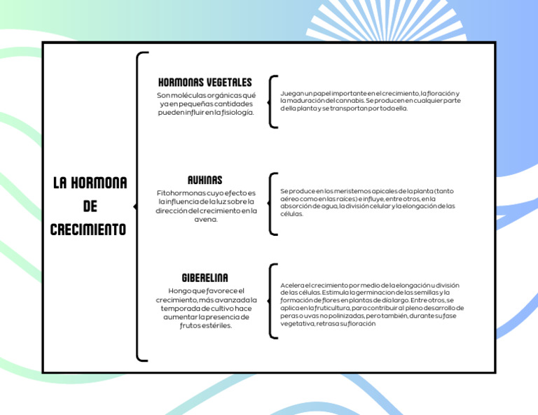 Gráfico Cuadro Sinóptico Aesthetic Azul y Verde - 20240718 - 151731 ...