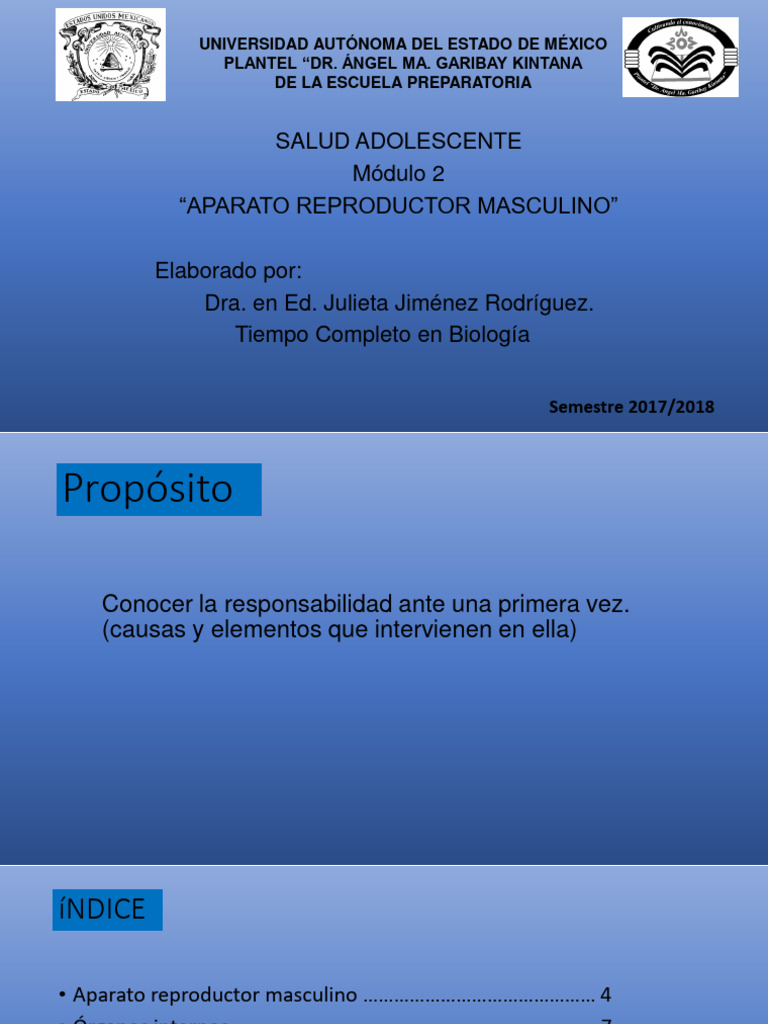 Secme-4396 2 | PDF | Próstata | Anatomía