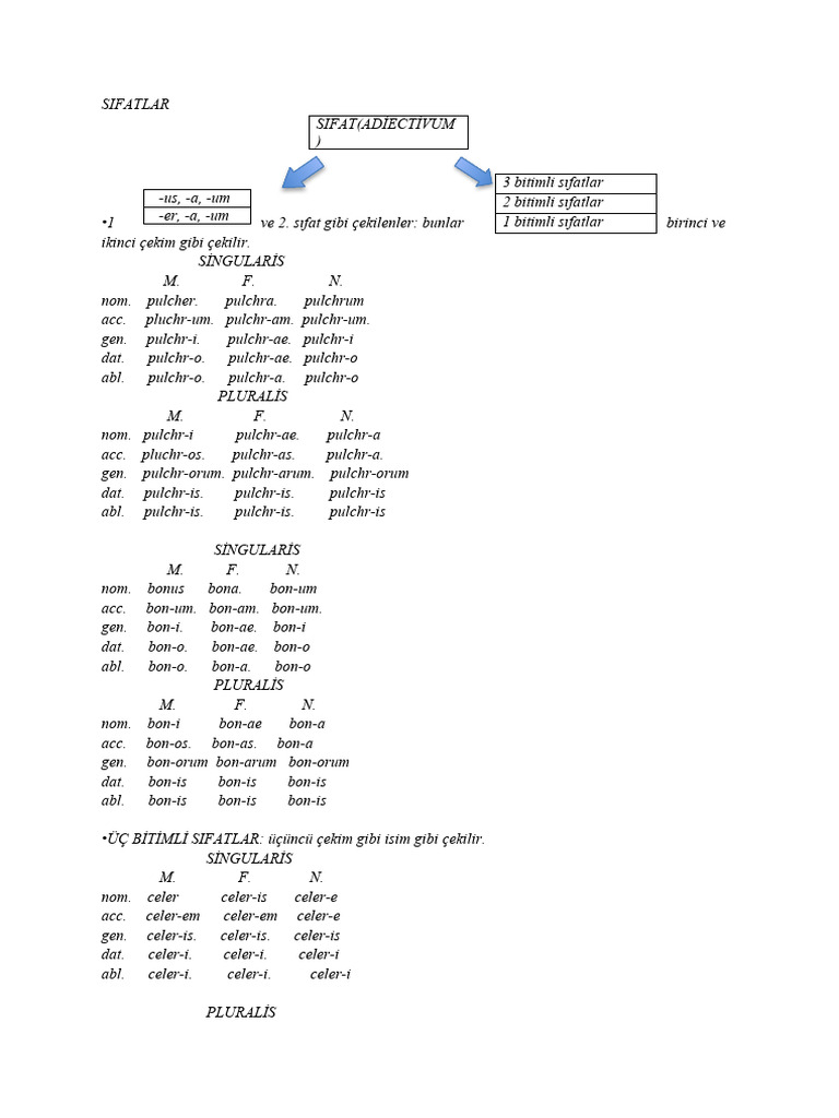 LATİNCE SIFATLAR | PDF