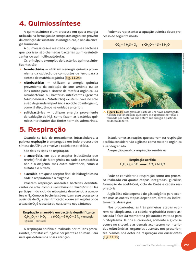 PHTLS 9º Edi (Atualizado) | PDF | Fermentação | Respiração celular