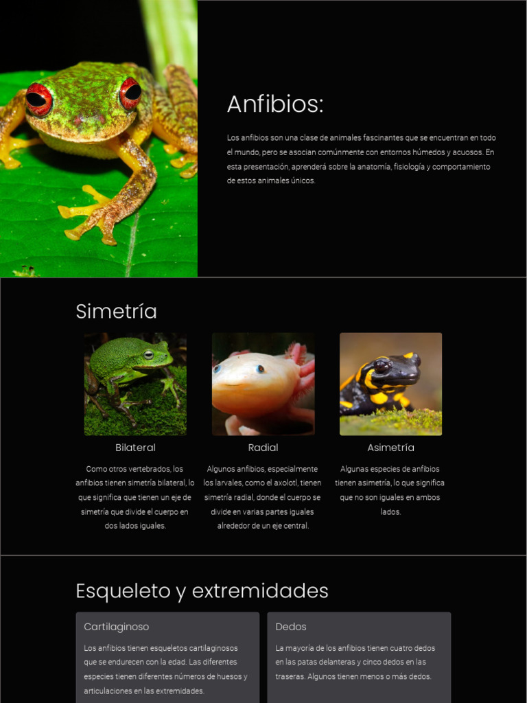 Anfibios | Descargar gratis PDF | Anfibio | Excreción
