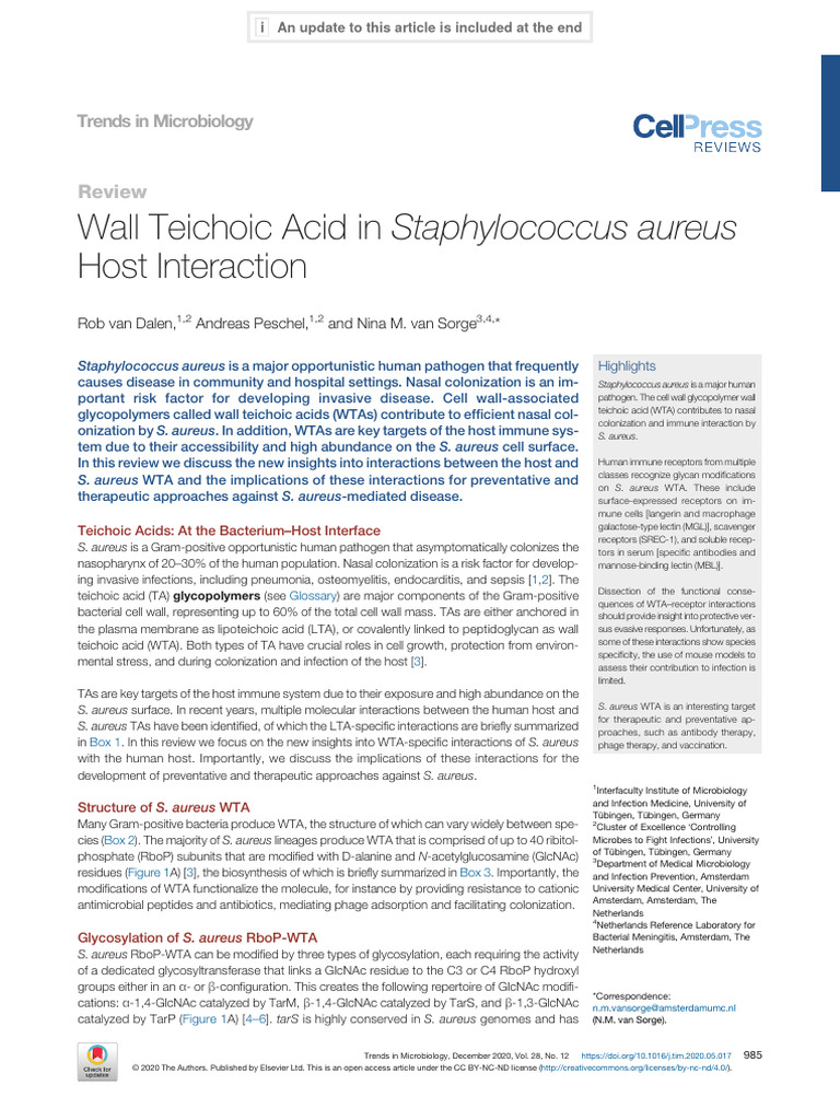 Wall Teichoic Acid in em Staphylococcus Aureus e | PDF | Antibody ...