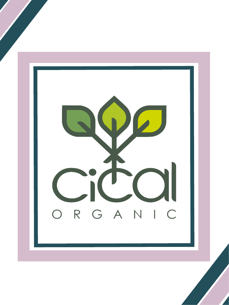 Catálogo Cical 2023 | PDF