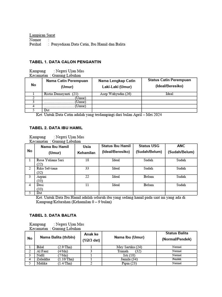 Form Pengumpulan Data Catin Ibu Hamil Dan Balita | PDF